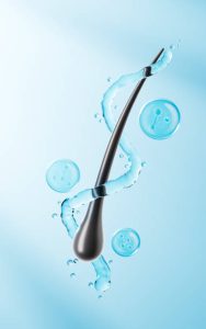 The Science Behind Hair Loss: DHT and Its Role - Merchant City Medical ...